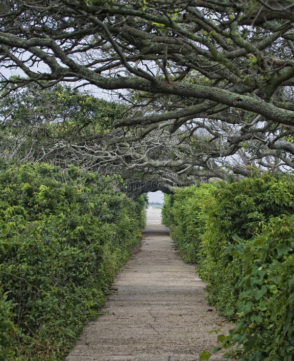 Peaceful Path stock image. Image of exit, exploration - 24769197