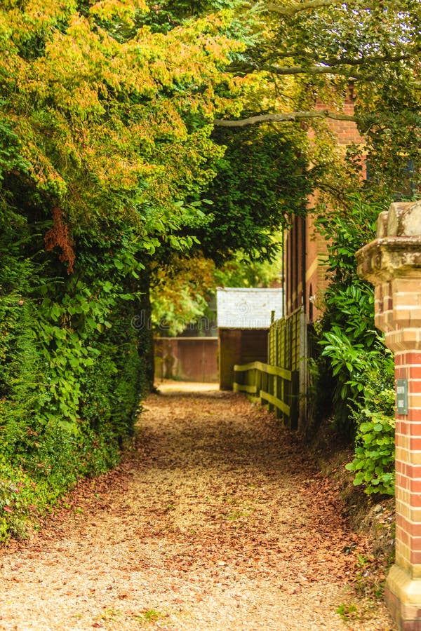 Peaceful Path in Autumnal Forest or Park Stock Photo - Image of pathway ...