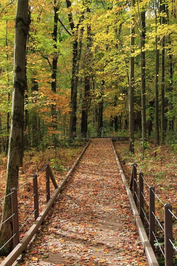Peaceful path stock photo. Image of nature, foliage, fall - 34897878