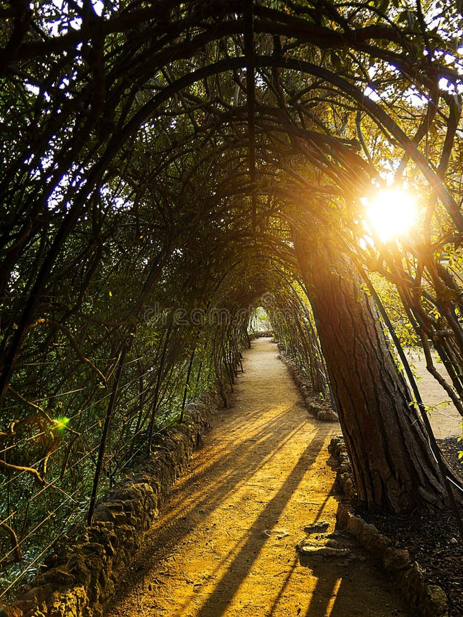 Peaceful Path in Autumnal Forest or Park Stock Photo - Image of yellow ...
