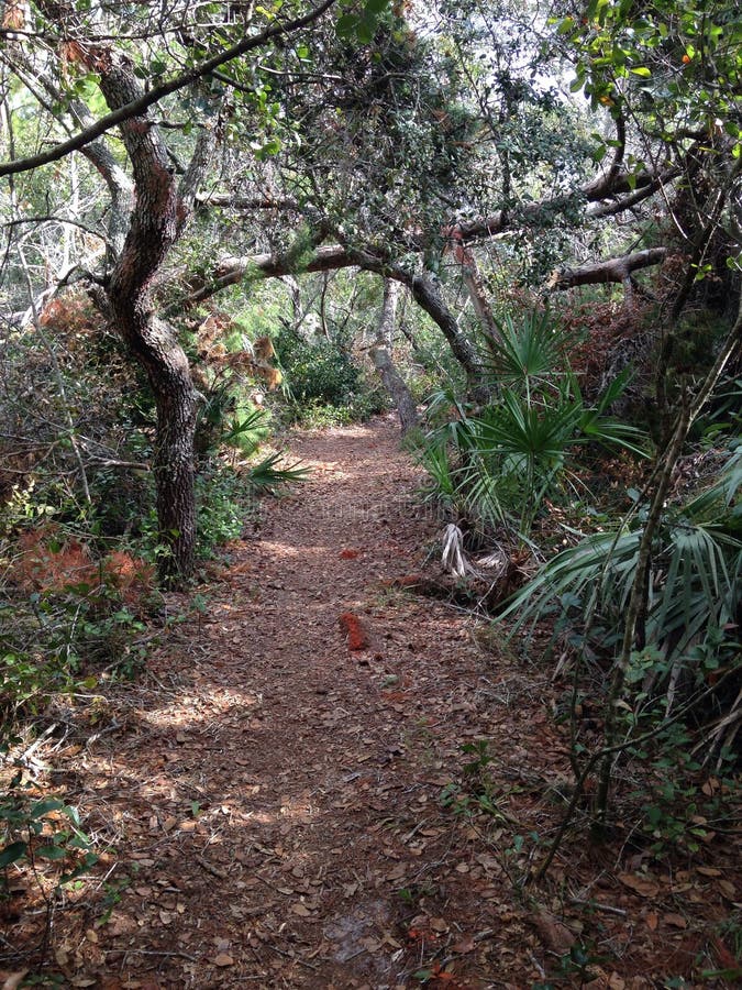 Peaceful Path stock image. Image of pleasant, plants - 80804825