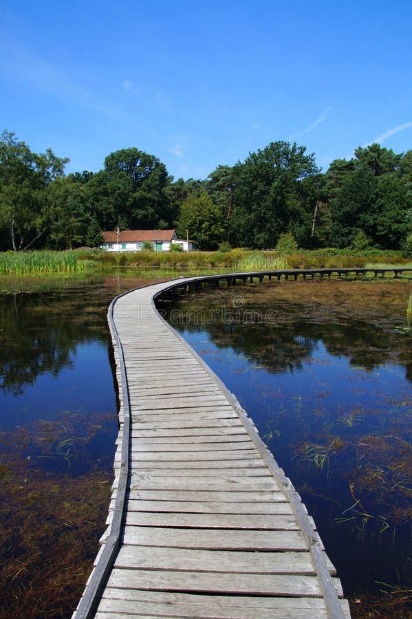 Peaceful Path - Mindfulness Stock Image - Image of pain, care: 100080627