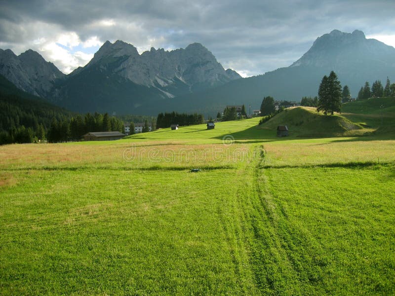 A peaceful place stock photo. Image of land, alps, grazing - 1316842
