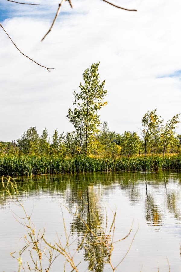 Peaceful Pond in Centre of Town. Coledale, Alberta, Canada Stock Photo ...