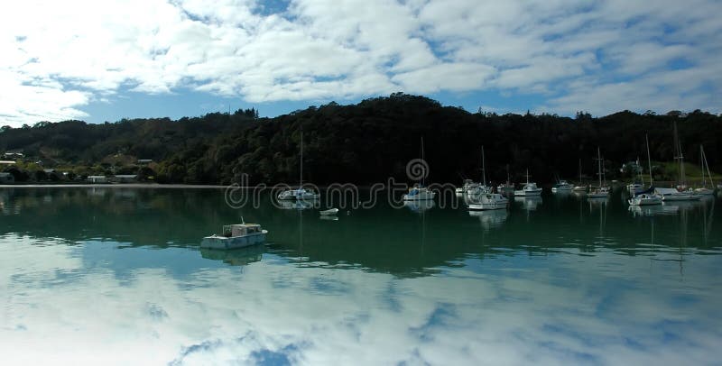 Peaceful reflection. stock image. Image of plant, landscape - 1349775