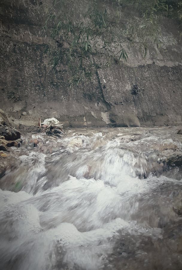 Peaceful river stock photo. Image of close, river, peaceful - 111696912