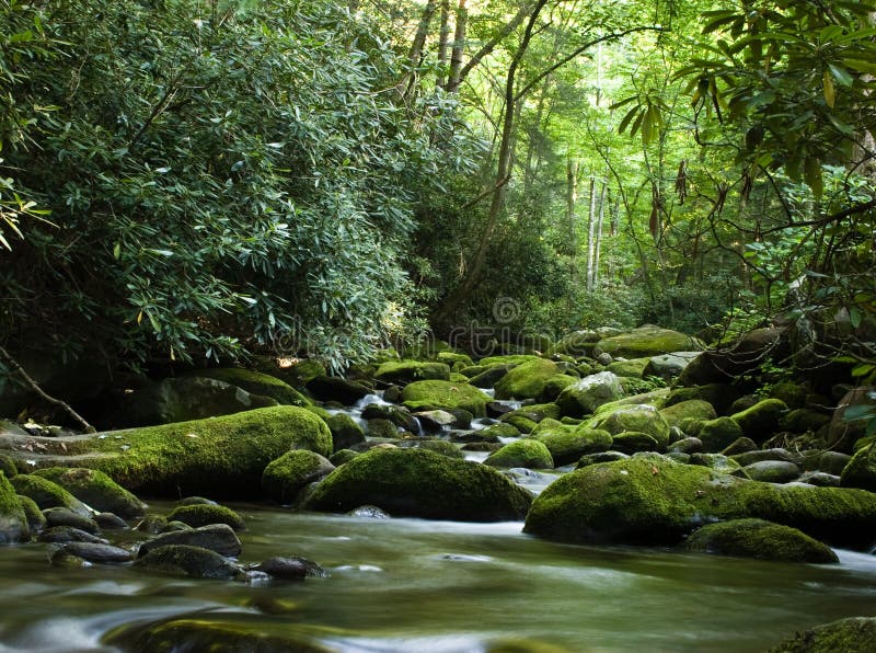 Mountain river stock photo. Image of jungle, flow, countryside - 5141066