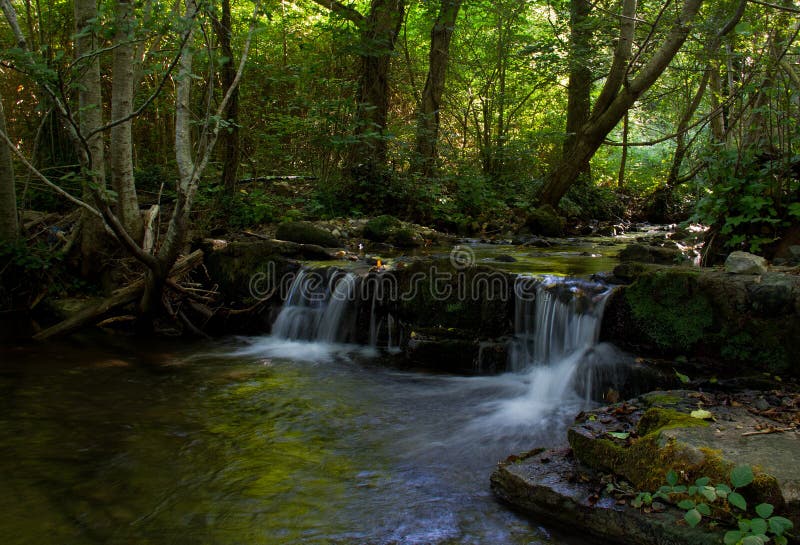 Peaceful river in forest stock photo. Image of rocks - 125694376