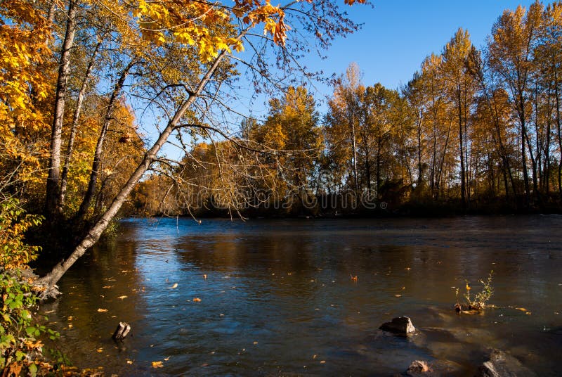 Peaceful river stock image. Image of autumn, trees, mapletree - 103549073