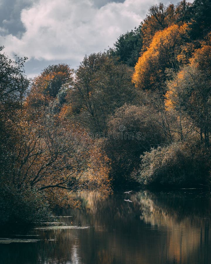 Peaceful River Scenery in Fall Colors, Bird Taking Off Stock Photo ...