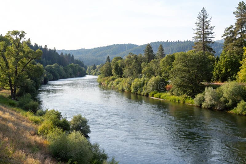Peaceful River View with Scenic Integrity Stock Illustration ...