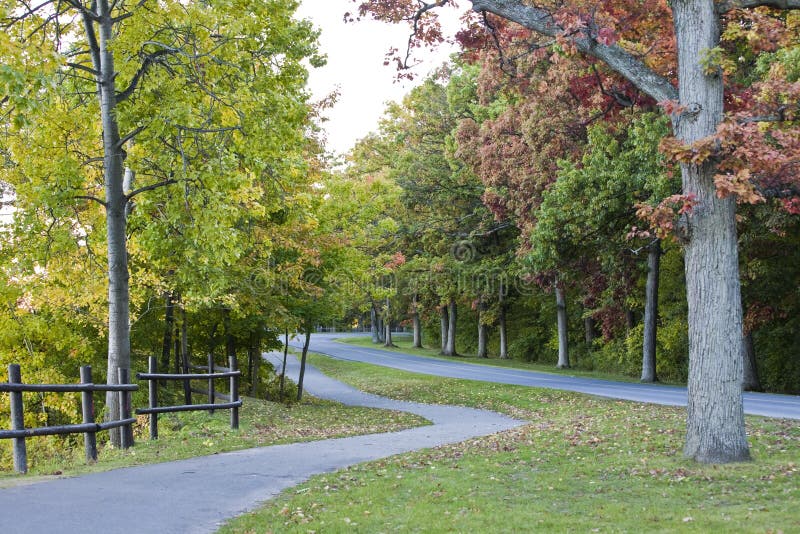Peaceful Road stock photo. Image of relaxing, tree, quiet - 11458594