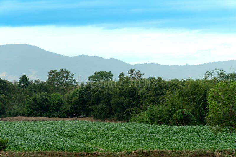 Konken Stock Photos - Free & Royalty-Free Stock Photos from Dreamstime