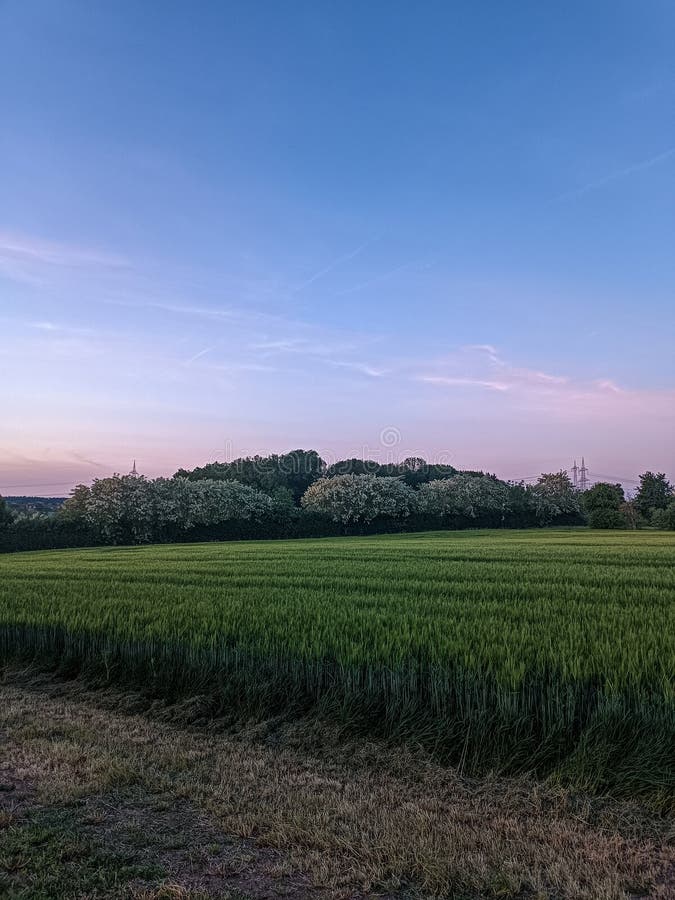 Peaceful Rural Landscape in Wide Field with Country Road Stock Image ...