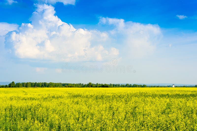 Peaceful Rural Landscape in Wide Field with Country Road Stock Image ...