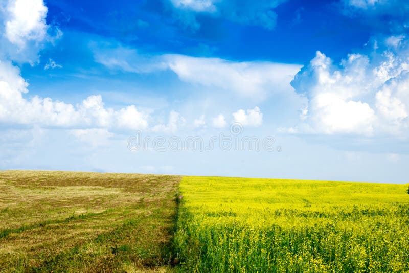 Peaceful Rural Landscape in Wide Field with Country Road Stock Image ...