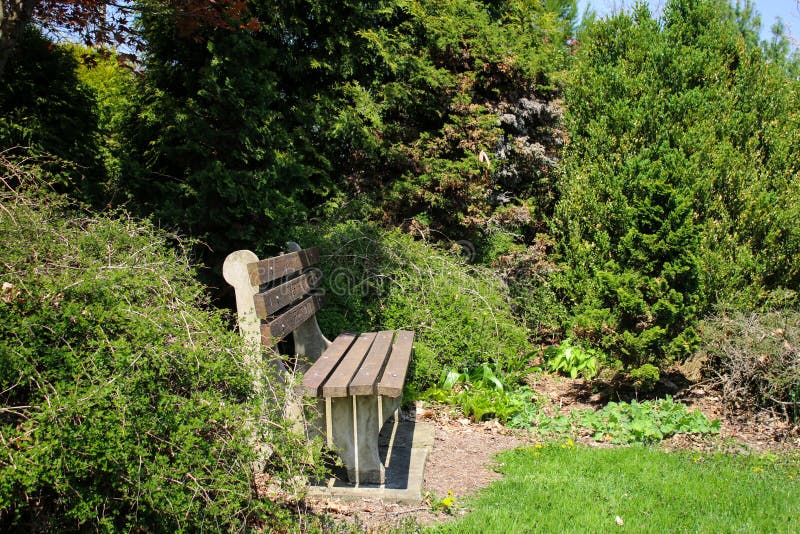 Single bench on the park stock image. Image of area - 117307053
