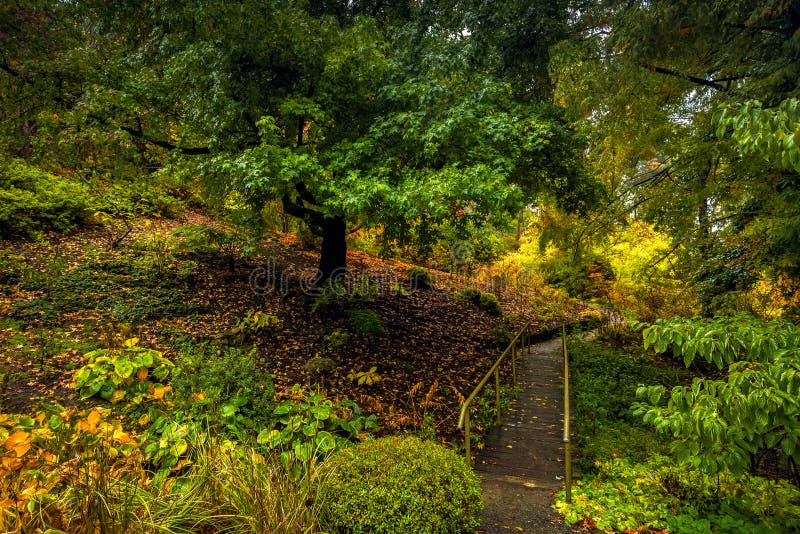 Peaceful scene of autumn stock image. Image of maple - 58063147