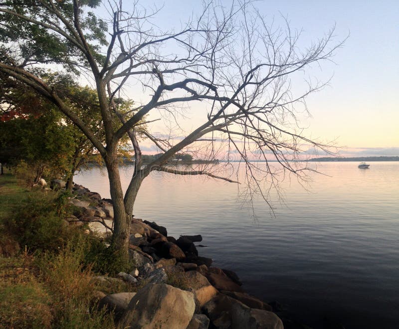 Boat & Tree stock photo. Image of peaceful, calm - 99779096