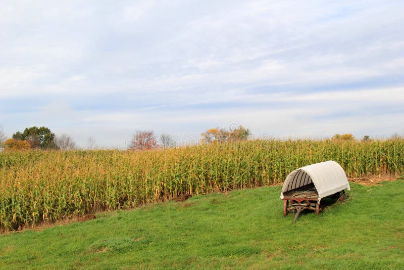 Peaceful Scene of Covered Wagon in Open Field Stock Image - Image of ...