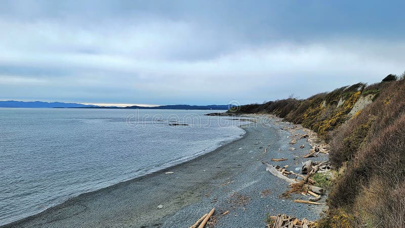 Peaceful Scenery of a Beach Being Washed by the Lake Water Stock Photo ...