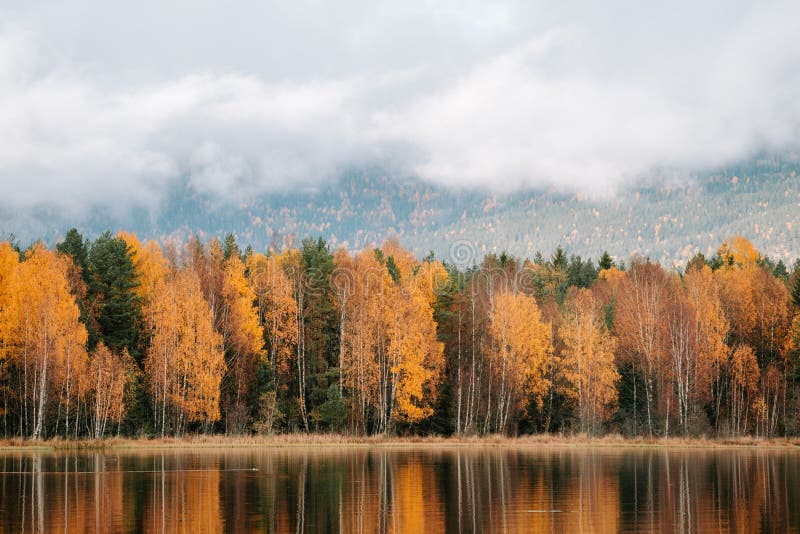 Peaceful Scenery of a Lakeside with Trees in Fall Colors Reflecting in ...