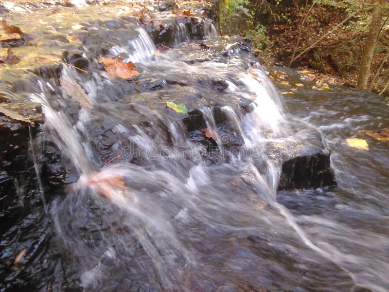 Is water wet stock image. Image of floating, stream - 118693657