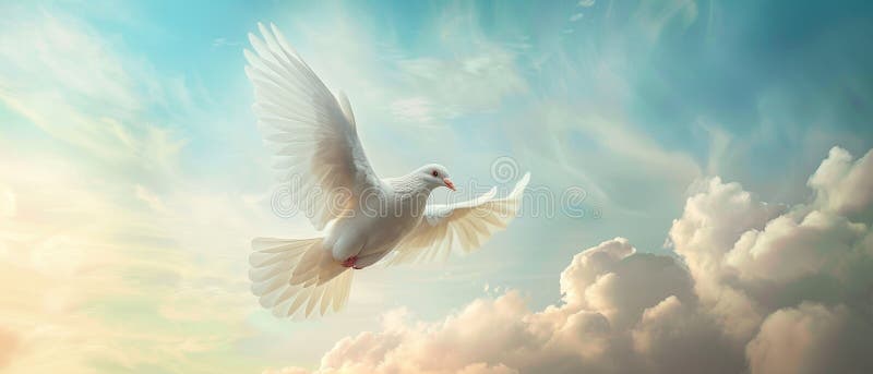 A Peaceful Sky Funeral Scene with White Dove, Providing a Serene and ...