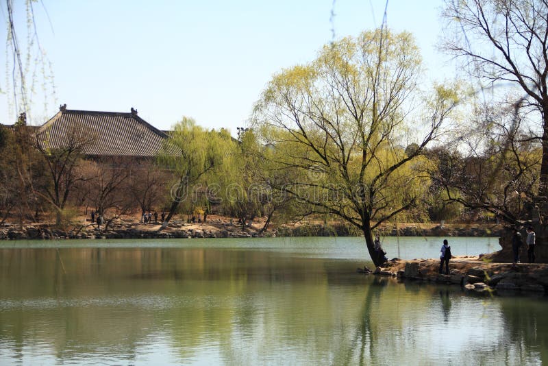 Peaceful Spring Rock Garden Stock Image - Image of keukenhof, green: 794777