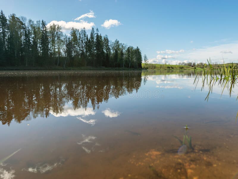Peaceful Spring Landscape with a Wooden Footbridge in the Lake, Empty ...