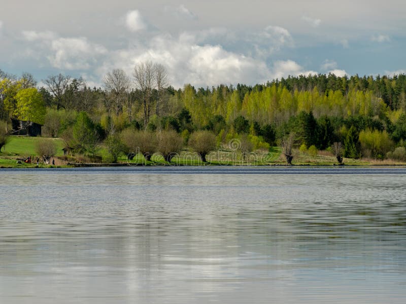Peaceful Spring Rock Garden Stock Image - Image of keukenhof, green: 794777