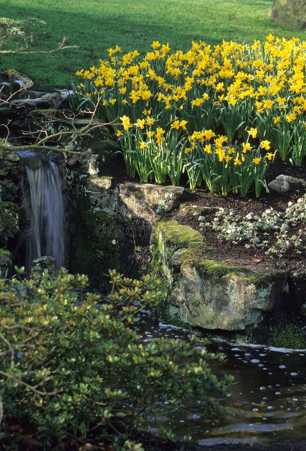 Peaceful Spring Rock Garden Stock Image - Image of keukenhof, green: 794777