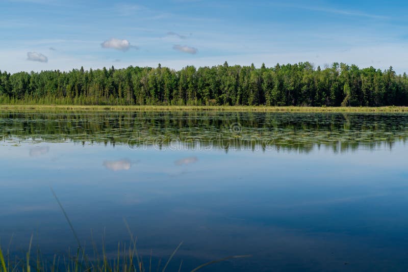 Peaceful Still Alberta Lake Waters Stock Image - Image of peaceful ...