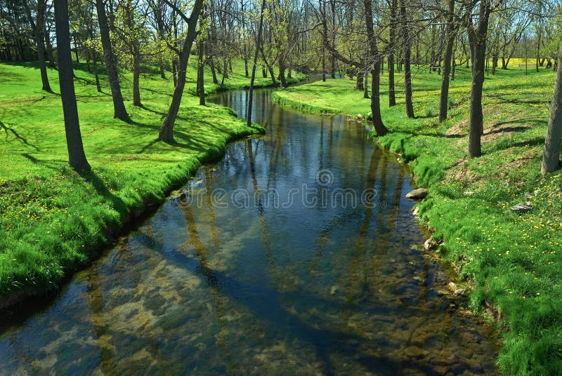 Peaceful stream stock image. Image of park, rural, stream - 4564419