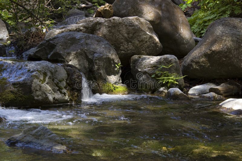 Peaceful stream stock photo. Image of natural, creek, green - 5759784