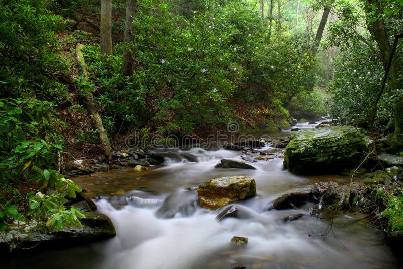 Peaceful Free Stock Photos & Pictures, Peaceful Royalty-Free and Public ...