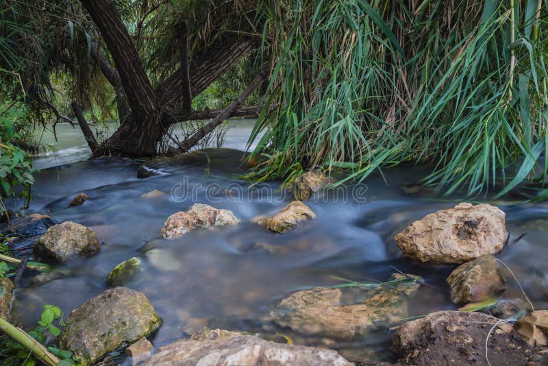 Peaceful Stream stock photo. Image of land, meditation - 14359394