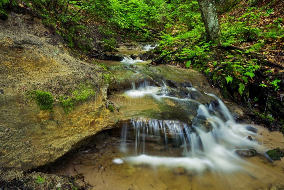 Peaceful Stream stock photo. Image of flow, flows, cool - 46907952