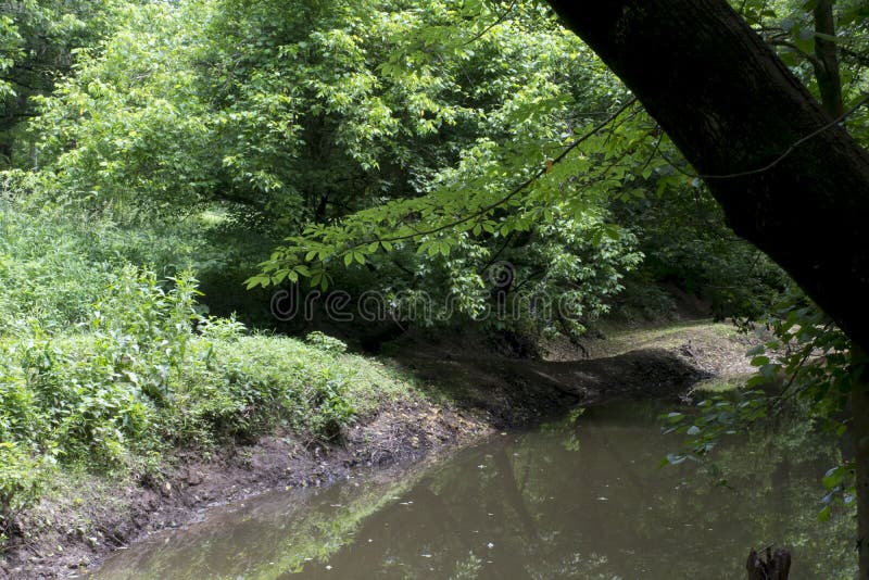 Peaceful Stream stock photo. Image of land, meditation - 14359394