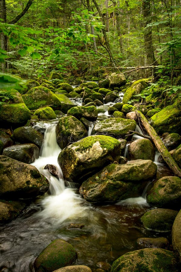 Peaceful Stream Stock Photos - Download 52,900 Royalty Free Photos
