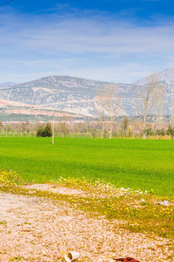 Peaceful Summer Landscape Vertical Stock Image - Image of peace ...