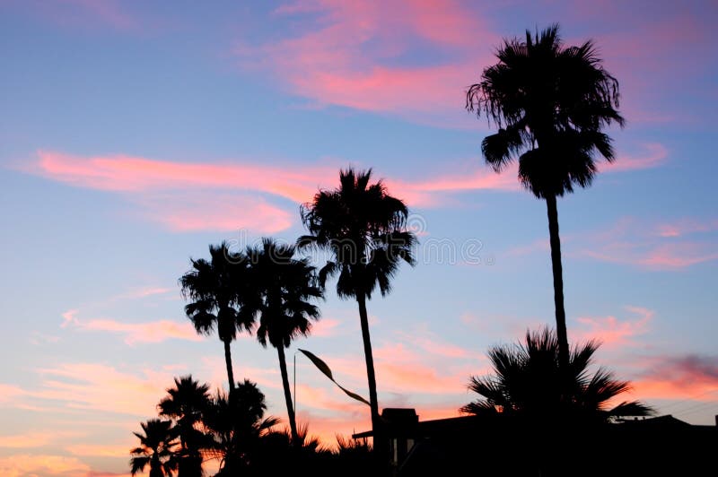 Peaceful Sunset stock photo. Image of tropical, beach, tree - 221986