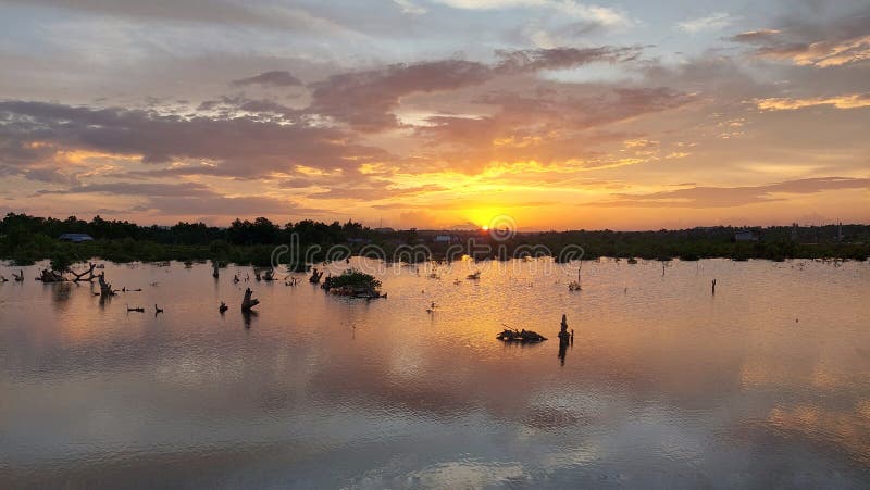 Peaceful Sunset Scenery with Water Reflections and Trees Stock Photo ...