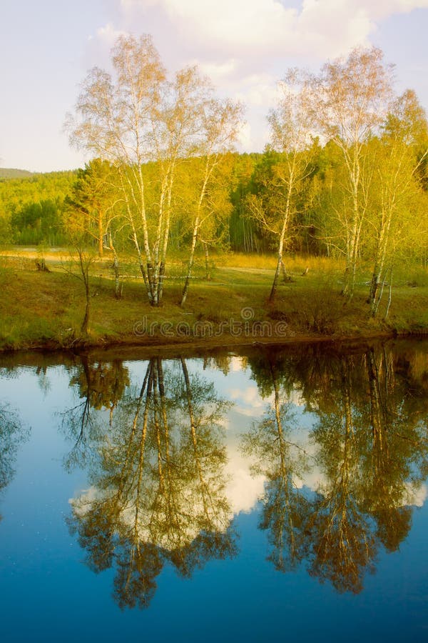 Peaceful sunset stream stock photo. Image of yellow, reflection - 24799578