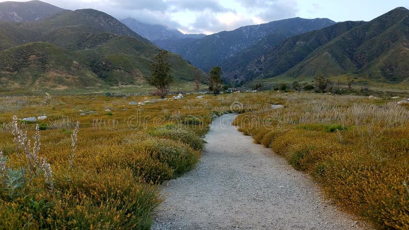 Peaceful Trail stock image. Image of mountains, nature - 98818103