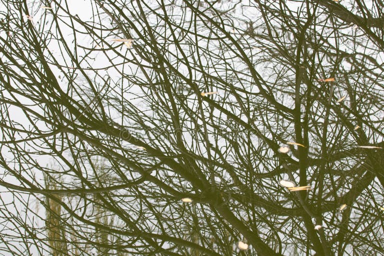 1,833 Ake Imaps Stock Photos - Free & Royalty-Free Stock Photos from ...