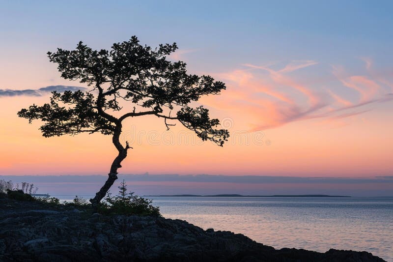 Peaceful Tree Silhouette at Sunset. Peaceful Location. Generative AI ...