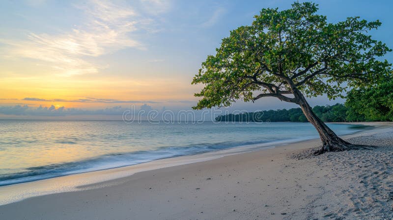 Peaceful Tropical Beach Scene with Tree and Sunrise Stock Illustration ...