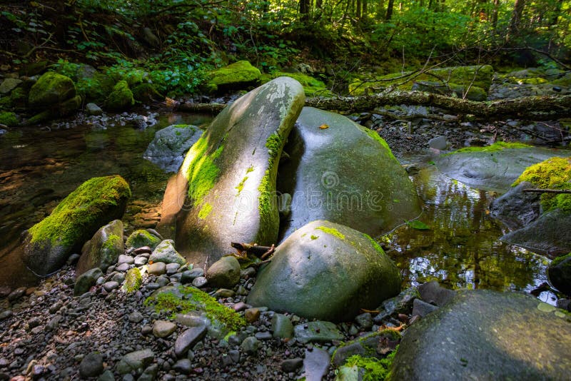 Peaceful View of Summer River Flowing through the Green Rocks Stock ...