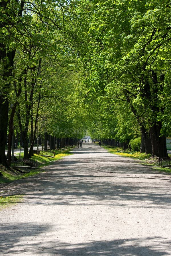 Peaceful walk stock photo. Image of spring, sunny, relax - 19321030